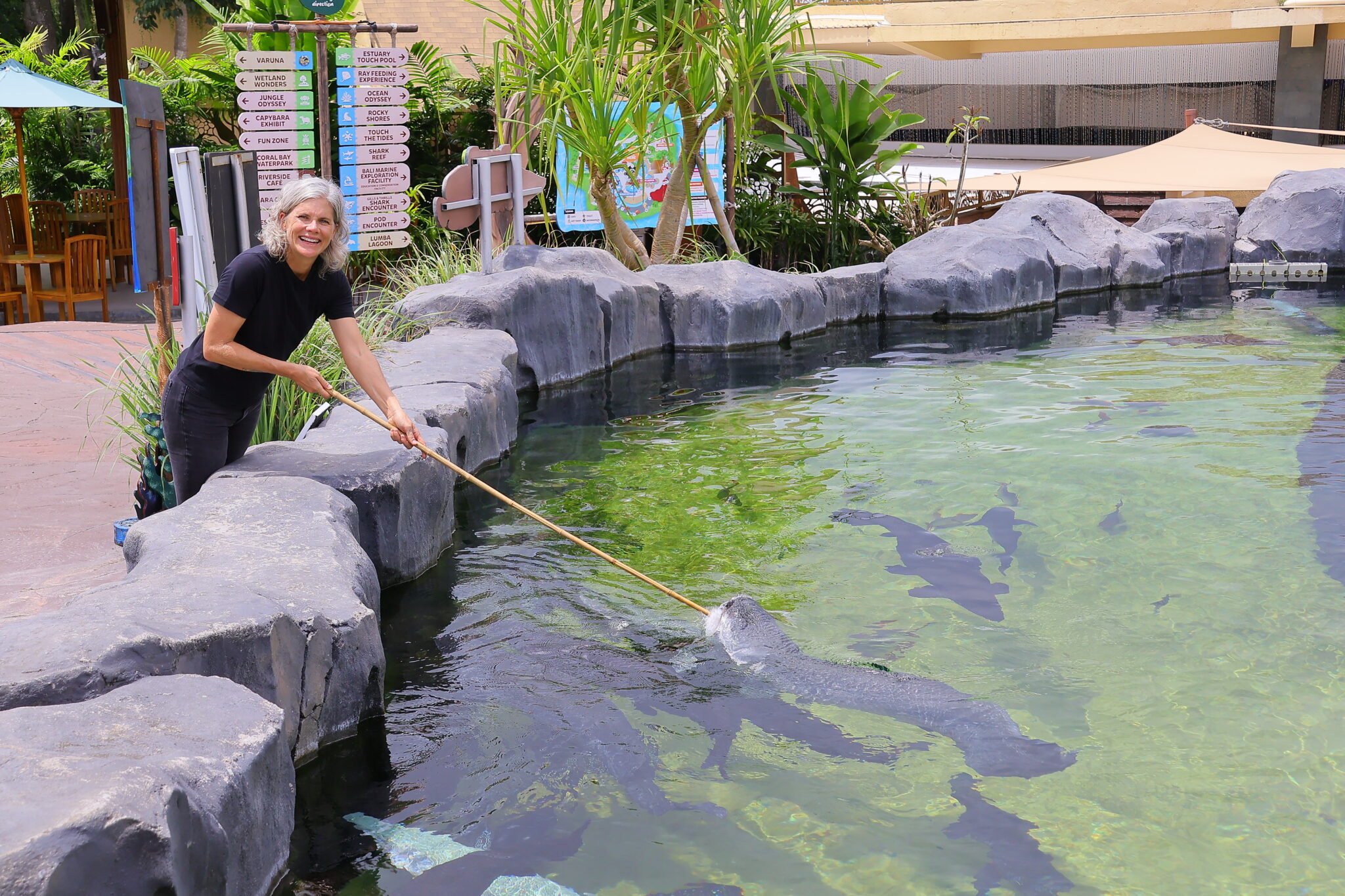 Schedule - Marine Safari Bali