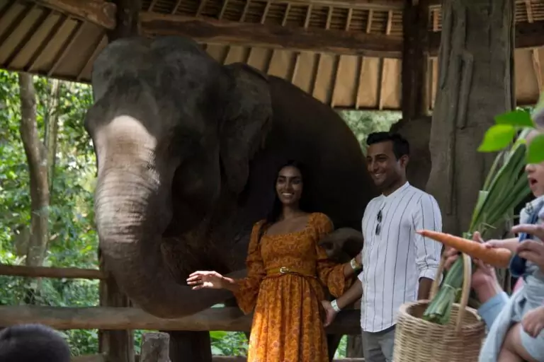 Creative Zoo Birthday Ideas with Memorable Animal Encounters