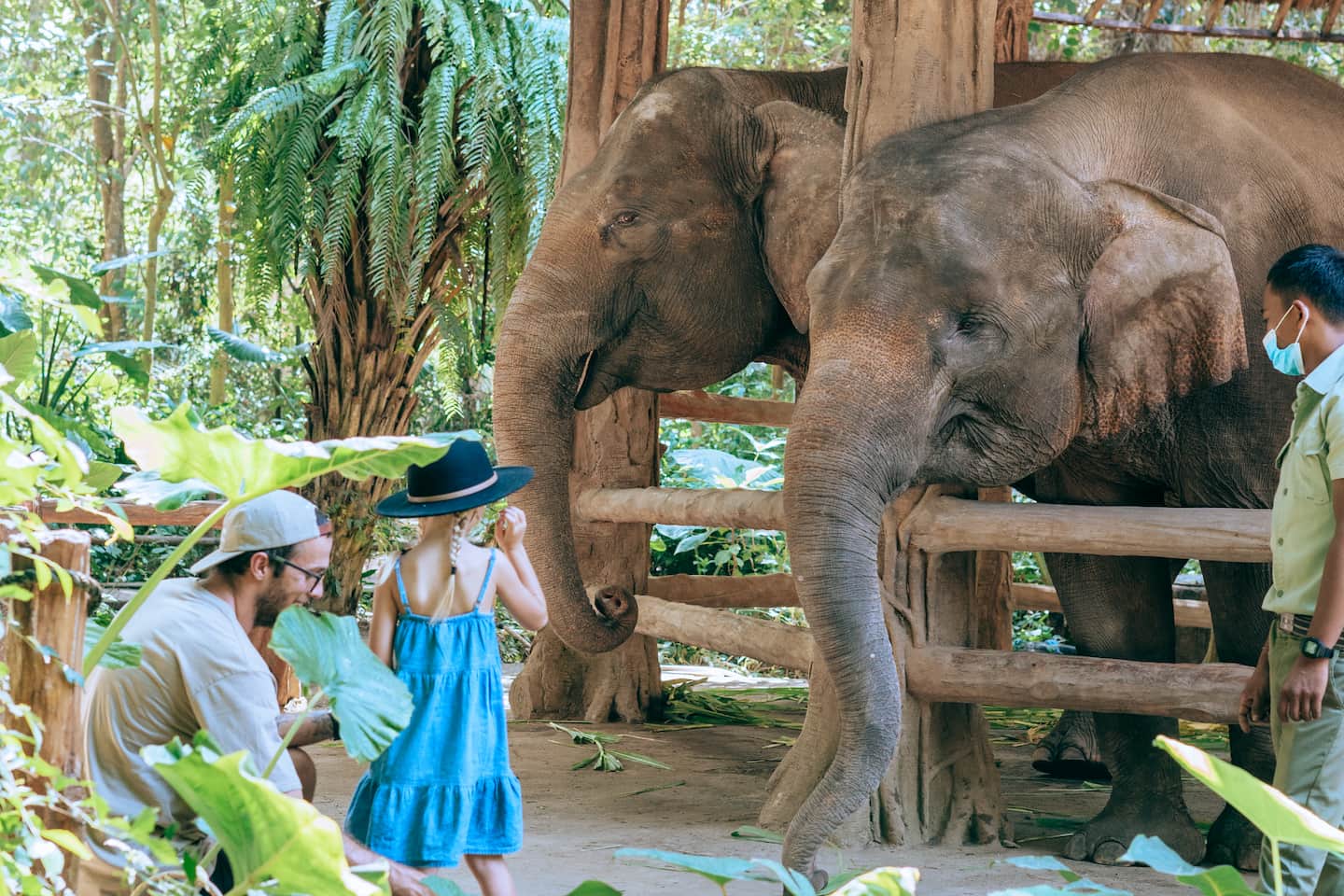 Creative Zoo Birthday Ideas with Memorable Animal Encounters