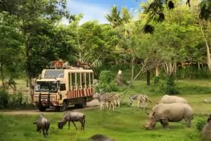 Jungle Hopper Package: Exciting Activities for Kids